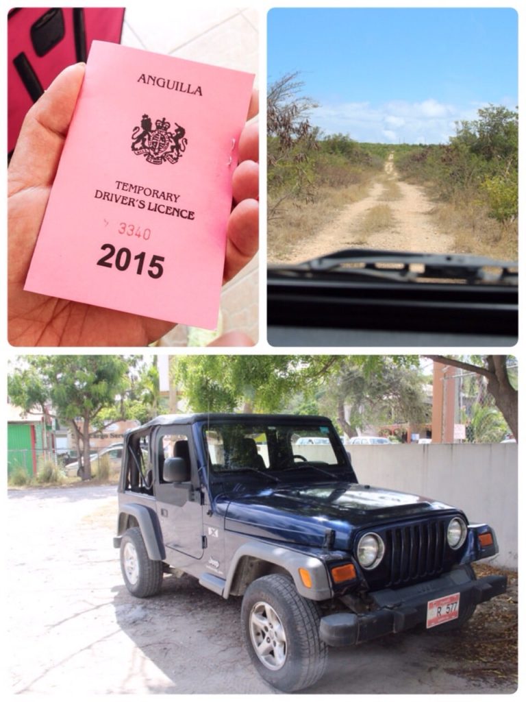 Nooit meer weg | Nieske Op Reis